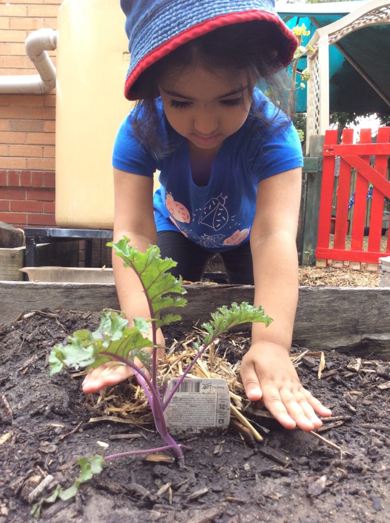 Childcare Program – Fifth Avenue Child Care Centre